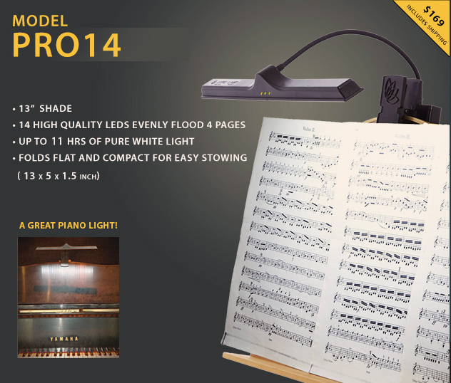 Rechargeable Lithium Battery Powered LED Light - Lotus Light MODELS